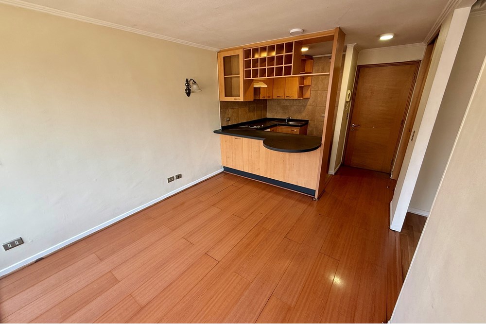 Residential - Condo/Apartment - Santiago, Santiago, Metropolitana De ...