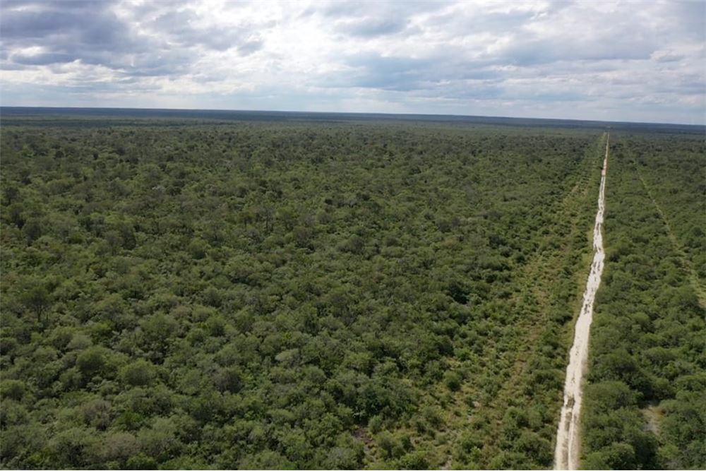 39,740,000 SqM Farm For Sale, located at Paraguay Alto Paraguay Mayor ...