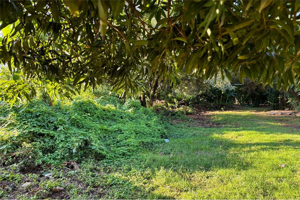 Land - For Sale - Paraguay Asunción Itá Enramada - 143098012-85 , - RE ...