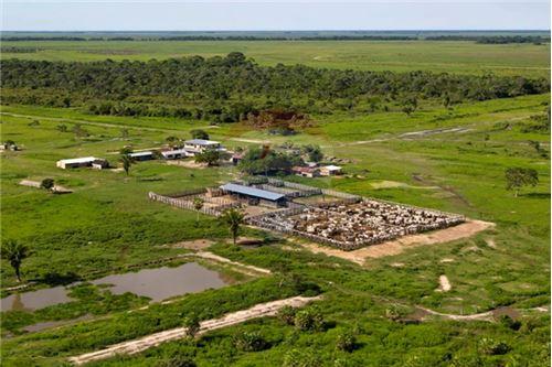 Commercial - Agricultural Farm - Baures, Iténez, Beni - BO - 125001323 ...