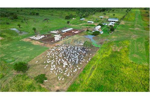 Commercial - Agricultural Farm - Baures, Iténez, Beni - BO - 125001323 ...