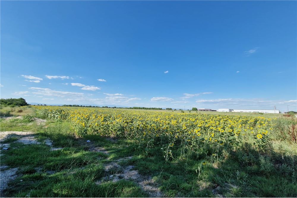 Commercial - Land - Plovdiv, Bulgaria - BU - 360261005-156 , RE/MAX ...