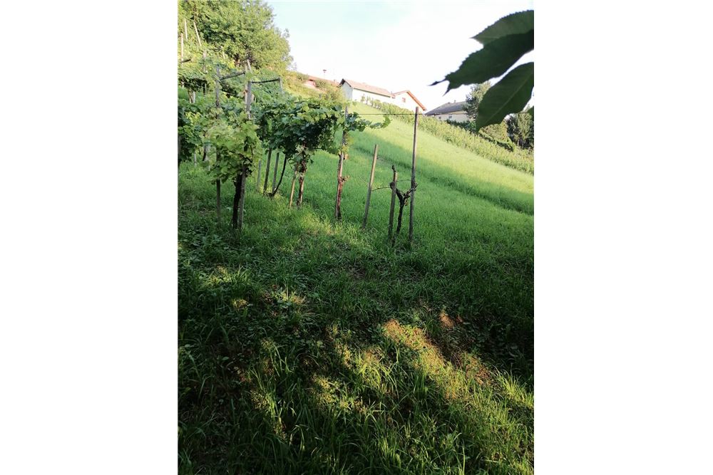 Residential - Country Home - Destrnik, Podravje region - SI - 490151040 ...