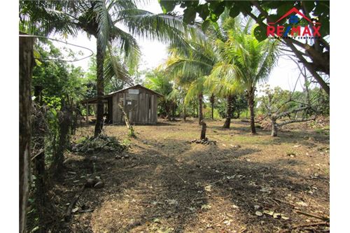 Commercial - Land - Cotton Tree, Cayo District, Belize - Caribbean ...