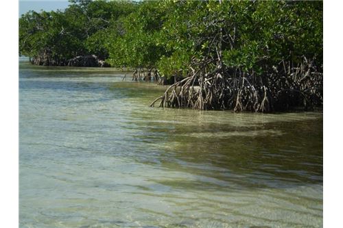 Commercial - Land - Belize, Belize District, Belize - Caribbean Central ...