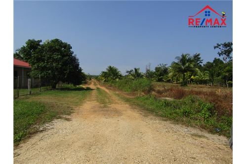 Commercial - Land - Cotton Tree, Cayo District, Belize - Caribbean ...