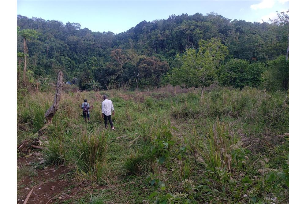 Commercial - Land - Hopewell, Hanover Parish, Jamaica - Caribbean ...